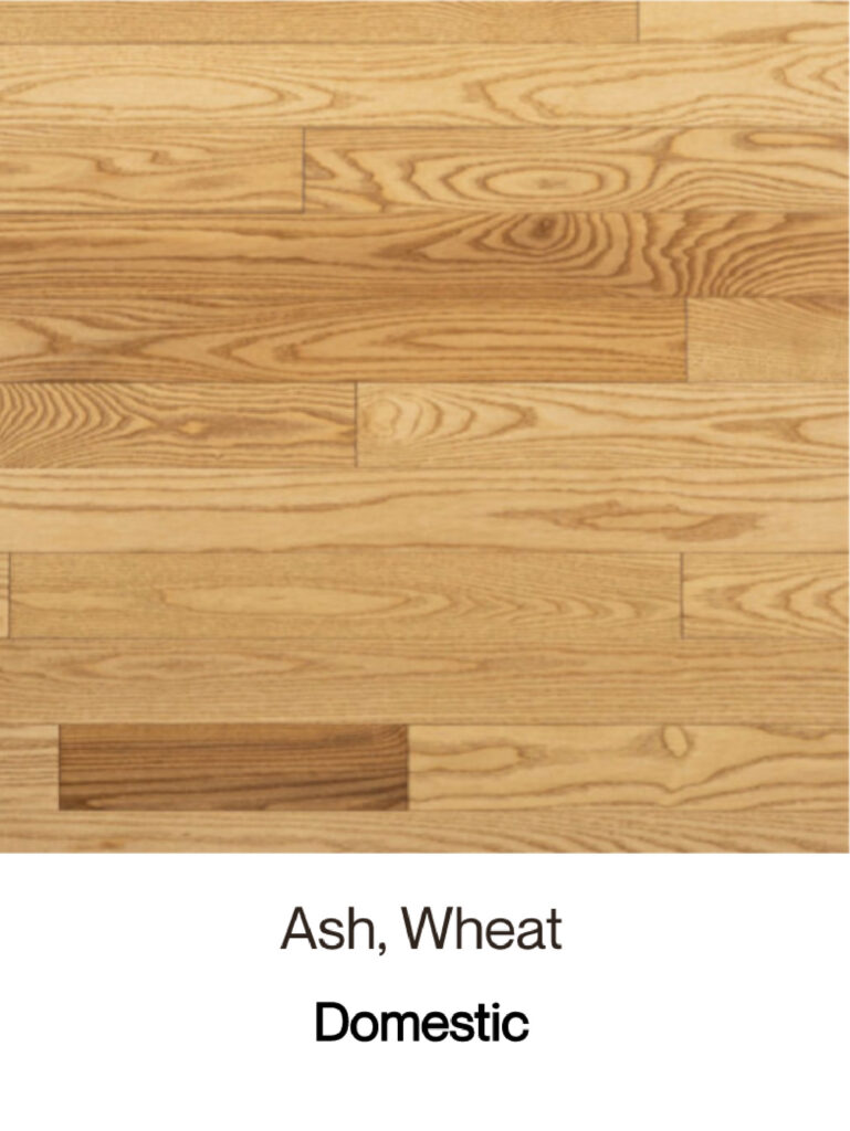 TREE RING FLOORS - TREE RING
