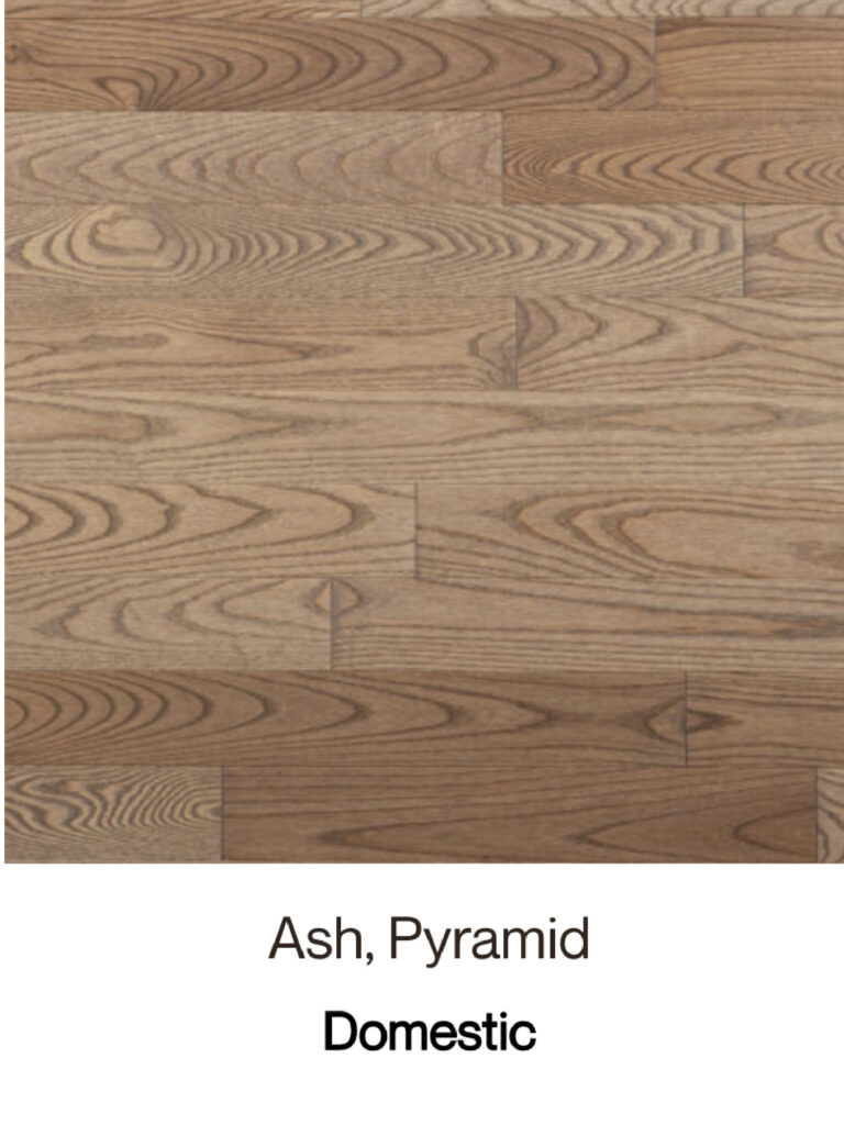 TREE RING FLOORS - TREE RING