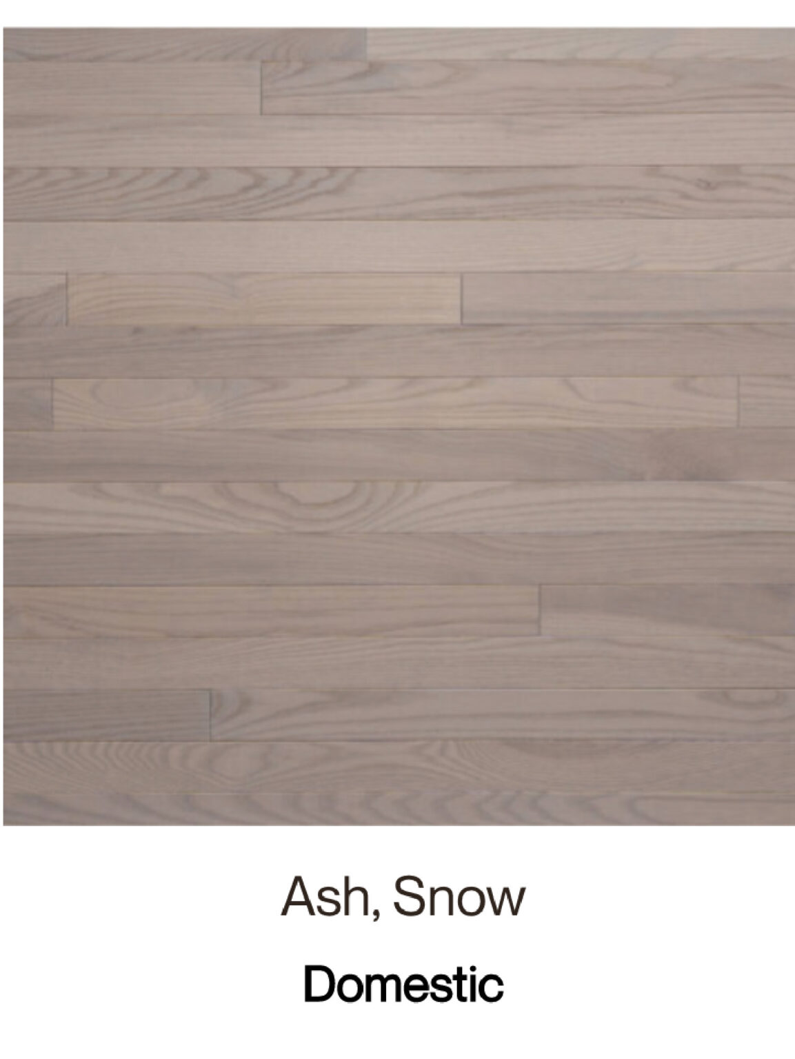 TREE RING FLOORS - TREE RING
